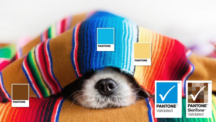 ViewFinity - QHD and UHD 4K/5K High Resolution Business Monitor ...