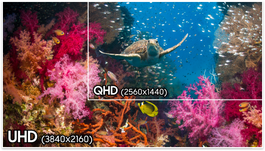 ViewFinity - QHD and UHD 4K/5K High Resolution Business Monitor ...